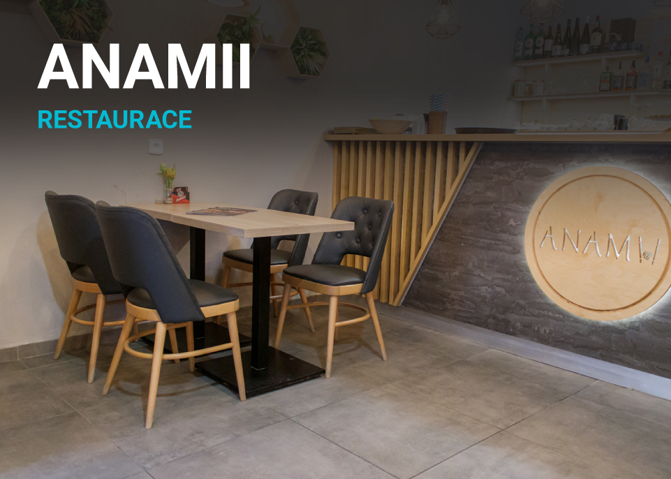 Kompletní vybavení restaurace Anamii - RESSED